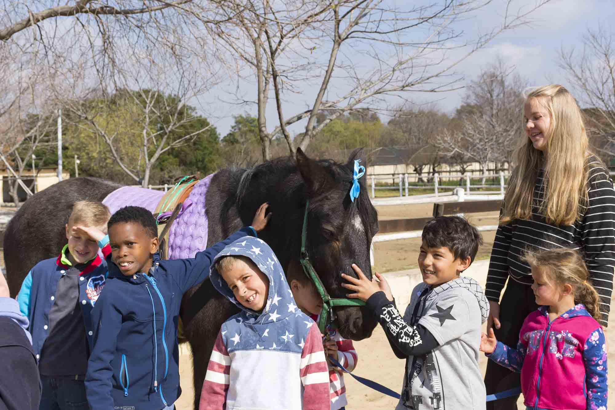Capriole Stables riding lessons near Midstream and Centurion