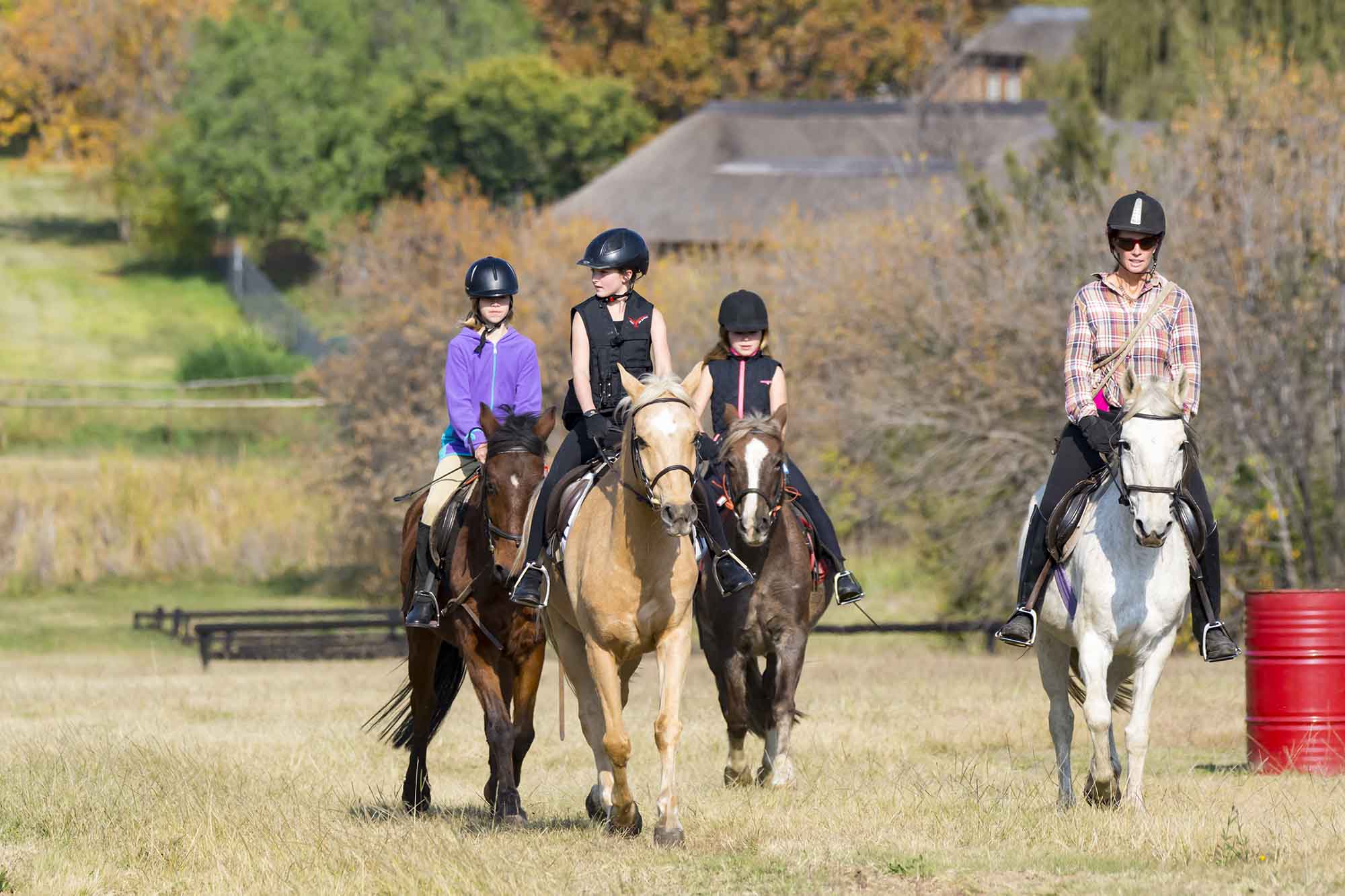 Capriole Stables riding lessons near Midstream and Centurion