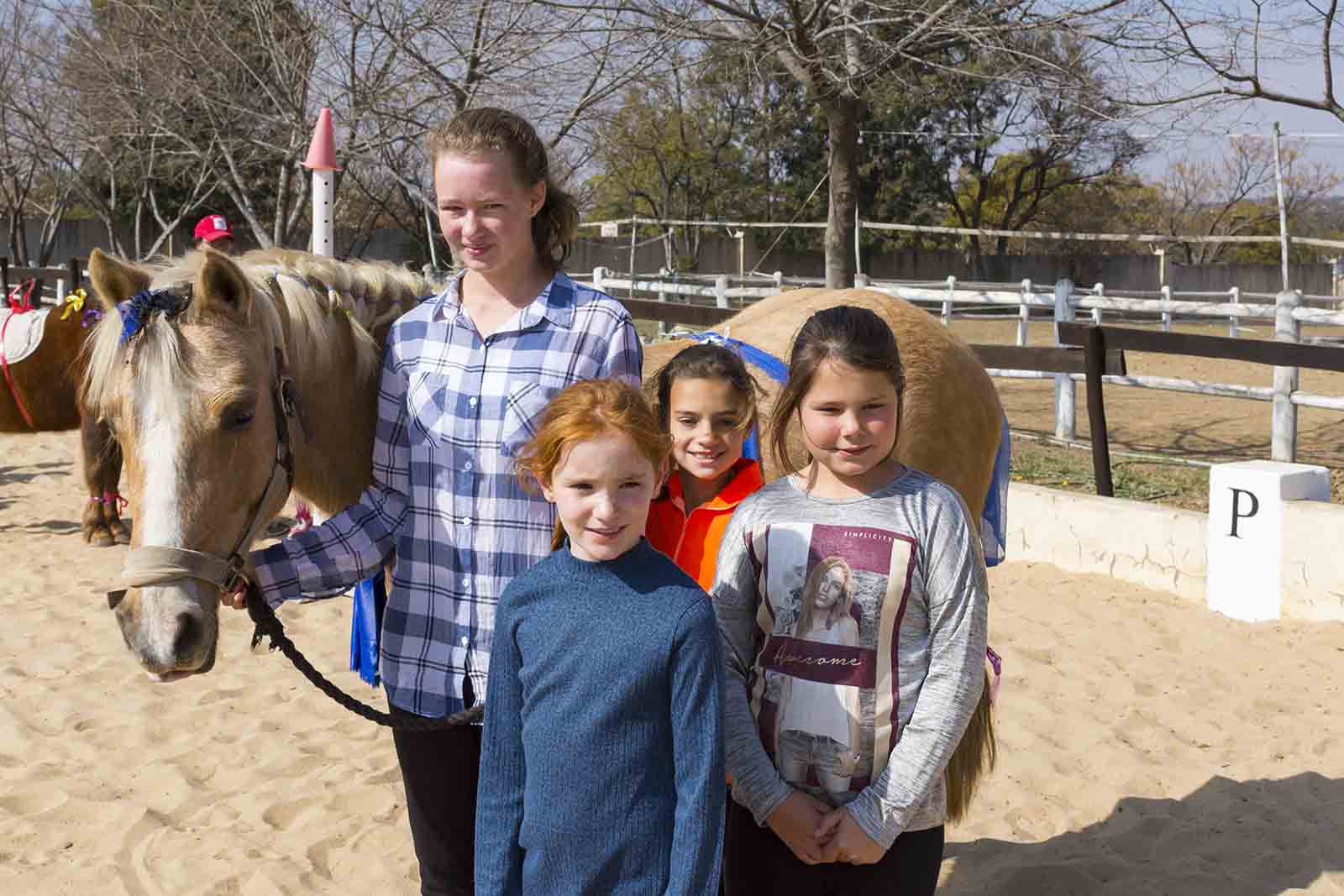 Capriole Stables riding lessons near Midstream and Centurion