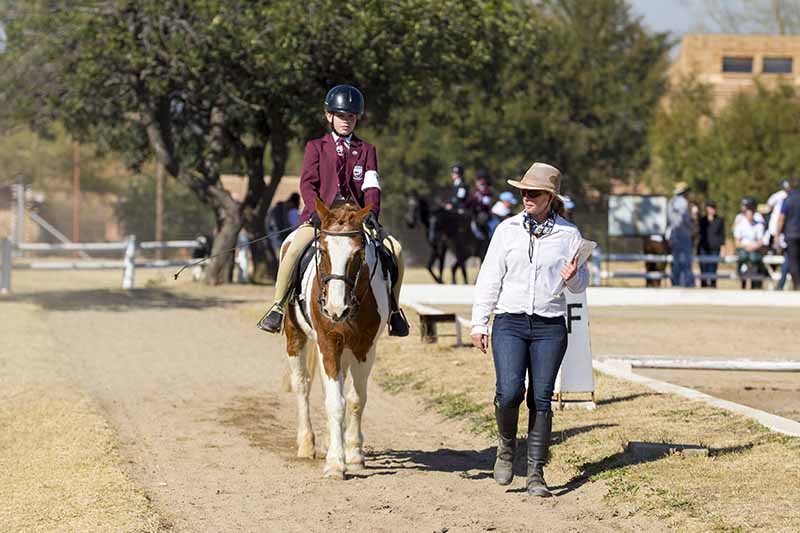 Capriole Stables riding lessons near Midstream and Centurion