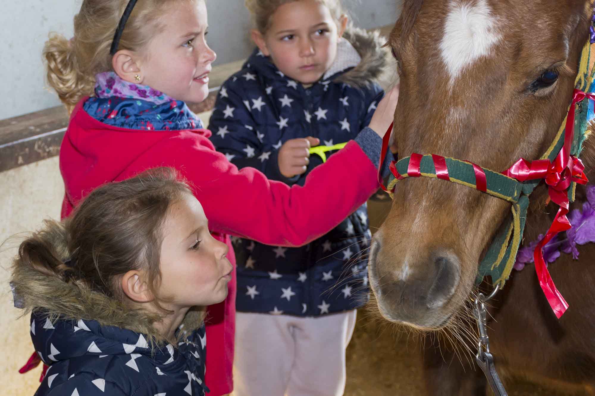 Capriole Stables riding lessons near Midstream and Centurion