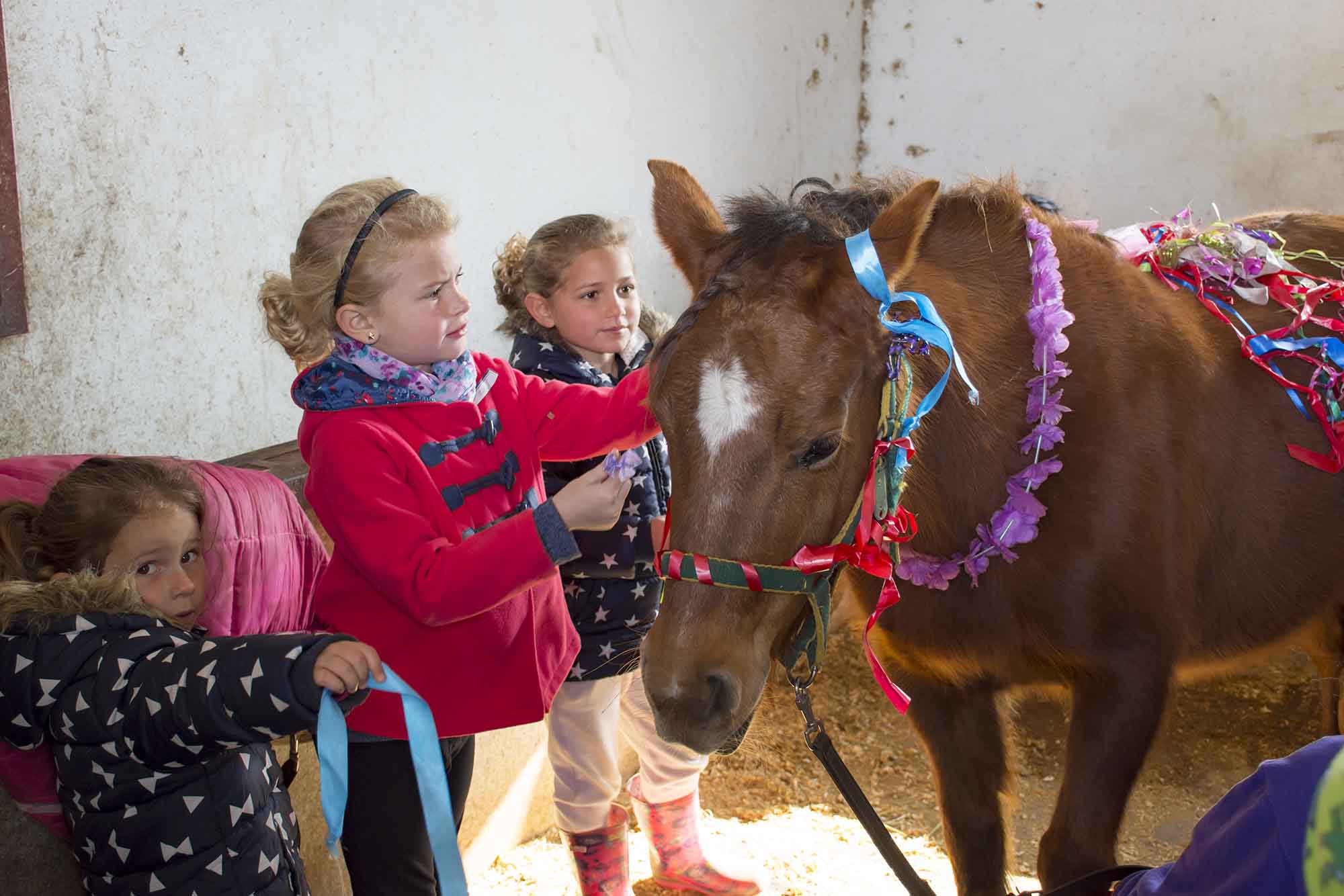 Capriole Stables riding lessons near Midstream and Centurion