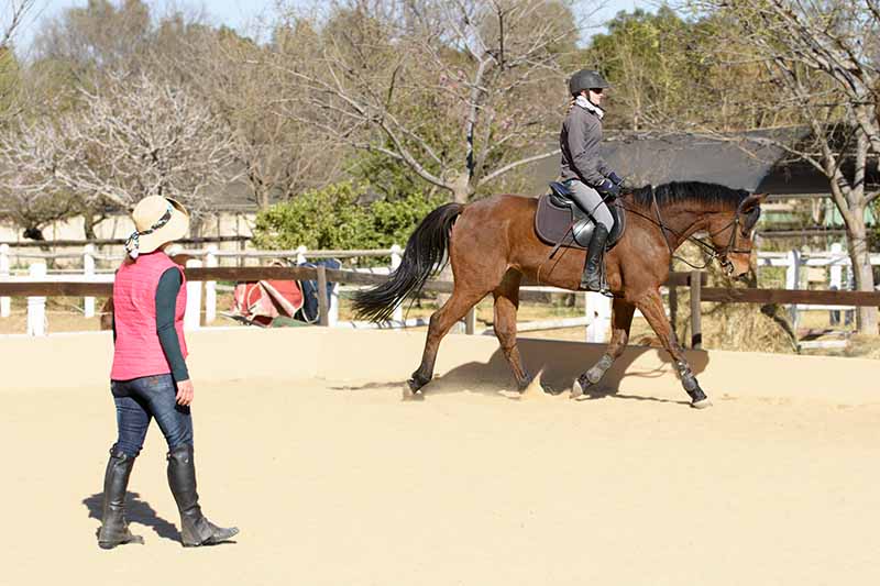 Capriole Stables riding lessons near Midstream and Centurion