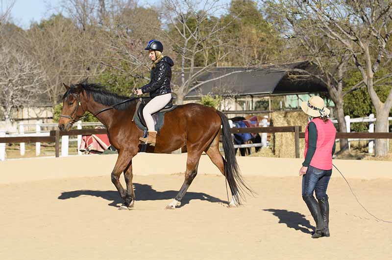 Capriole Stables riding lessons near Midstream and Centurion