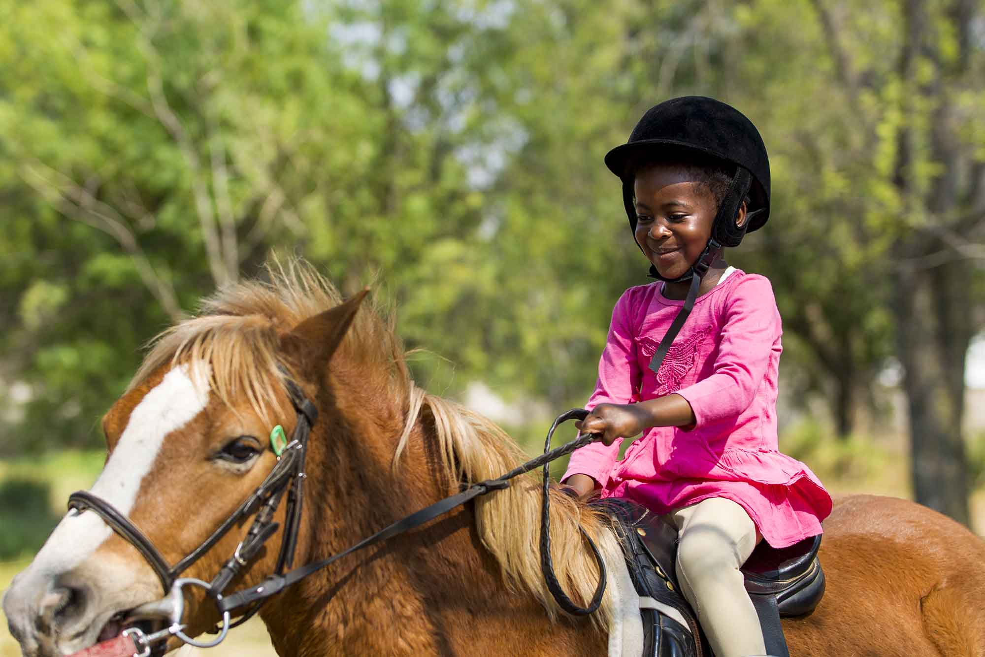 Capriole Stables riding lessons near Midstream and Centurion