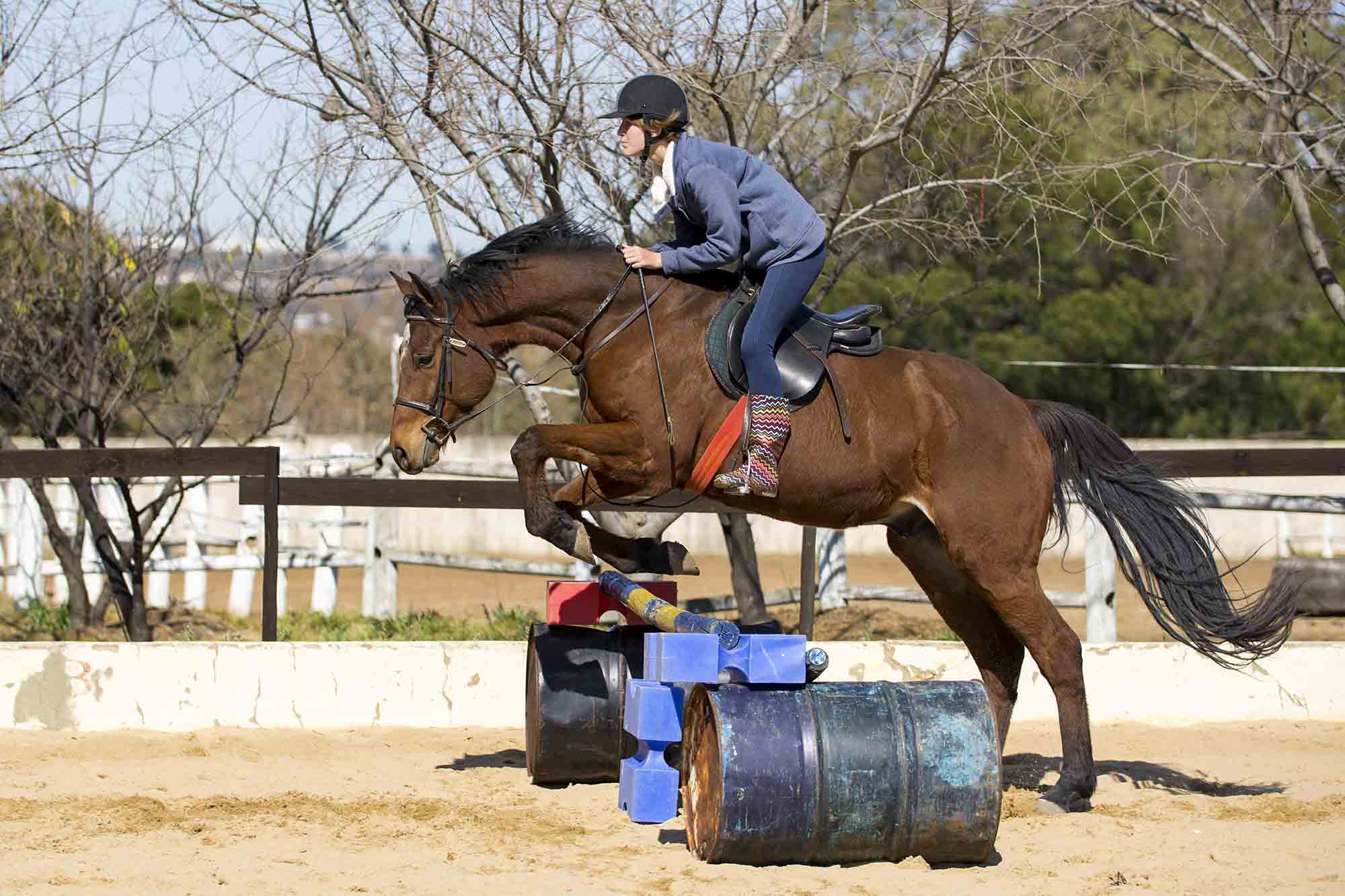 Capriole Stables riding lessons near Midstream and Centurion