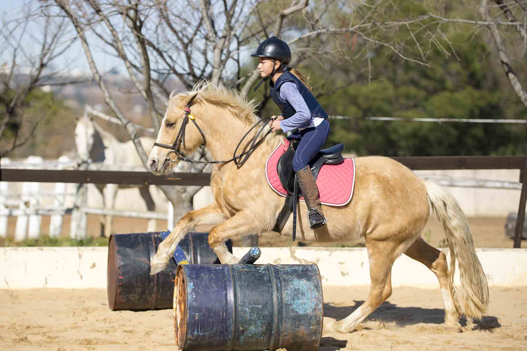 Capriole Stables riding lessons near Midstream and Centurion