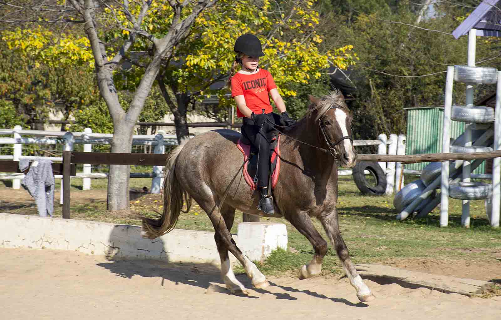Capriole Stables riding lessons near Midstream and Centurion