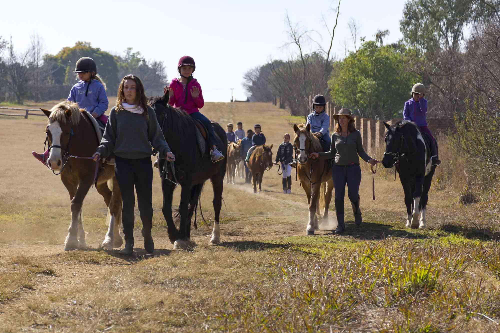 Capriole Stables riding lessons near Midstream and Centurion