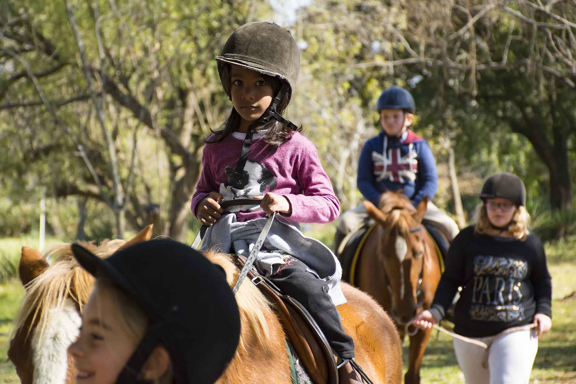 Capriole Stables riding lessons near Midstream and Centurion