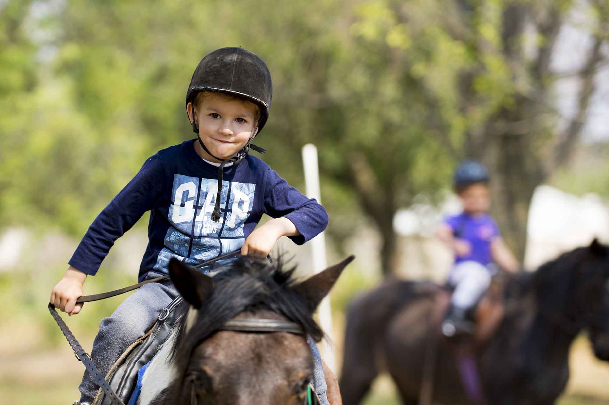 Capriole Stables riding lessons near Midstream and Centurion
