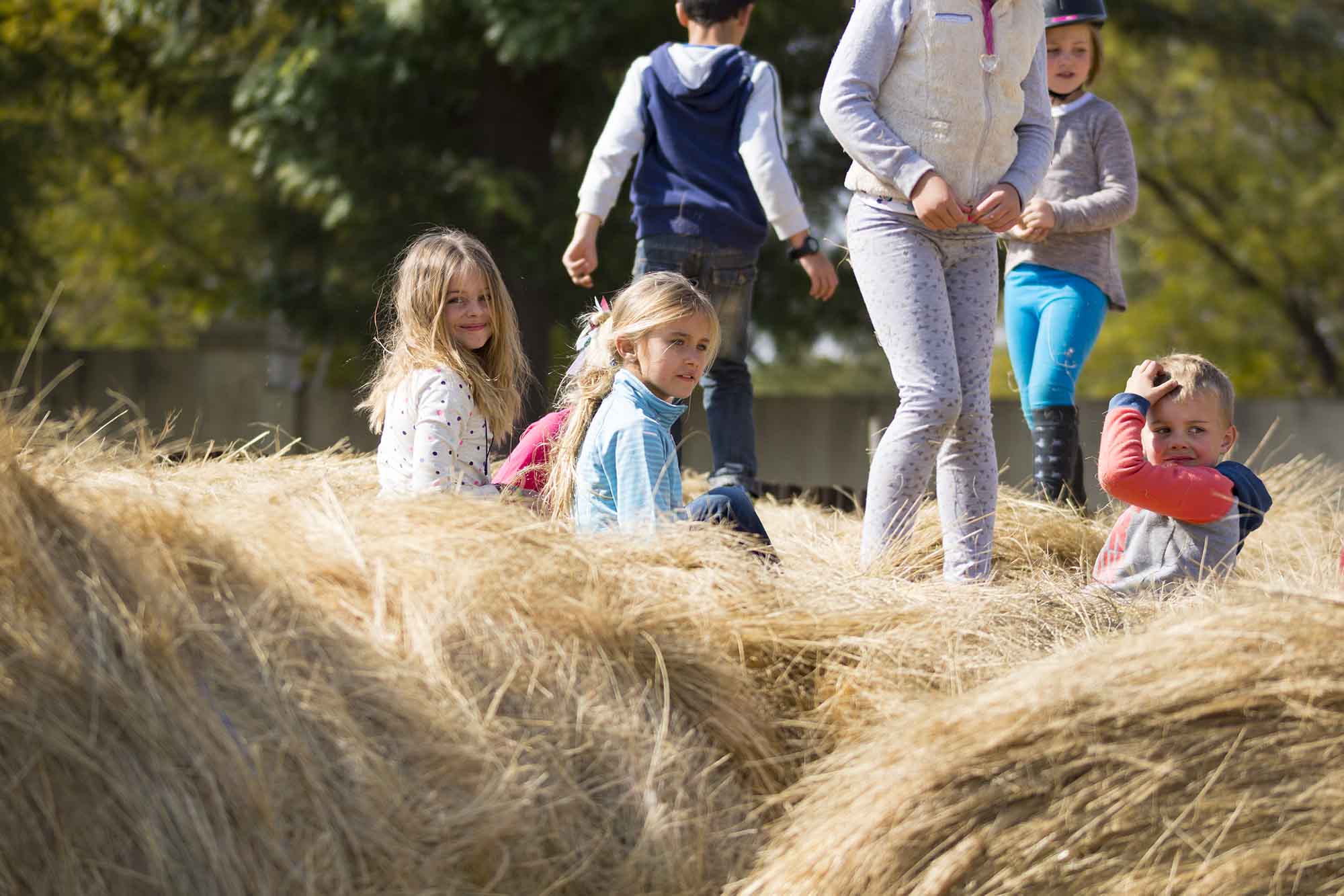 Capriole Stables riding lessons near Midstream and Centurion