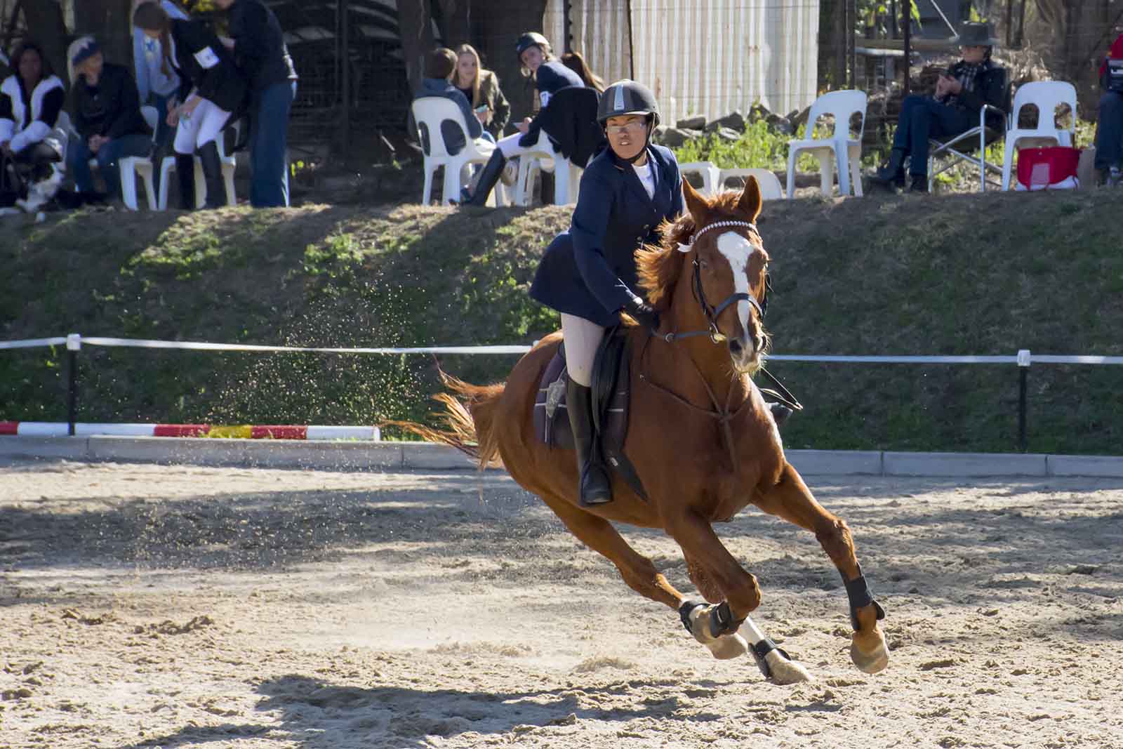 Capriole Stables riding lessons near Midstream and Centurion