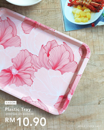 Plastic Tray | My Site