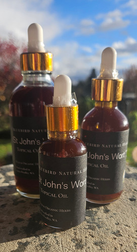 St John S Wort Topical Oil Bluebird Natural