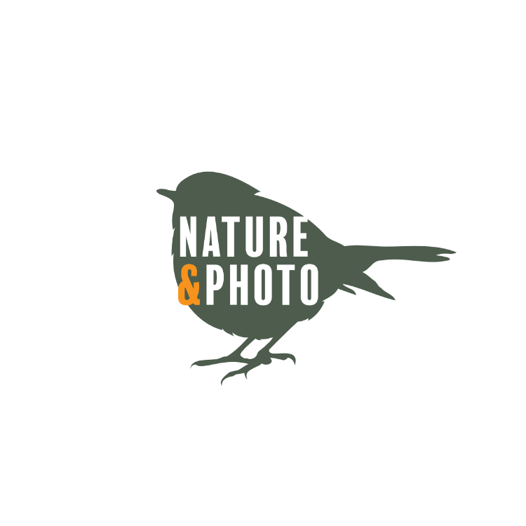 Nature photography | Nature & Photo