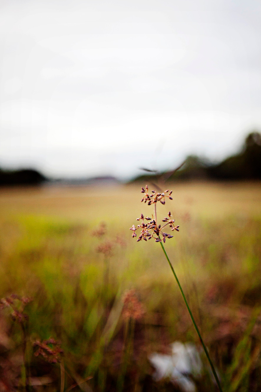 Nick Shen | eileenchong