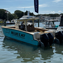Blue Cat 30 | BlueCat Usa