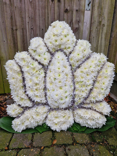 Lotus flower funeral tribute | Four seasons epping