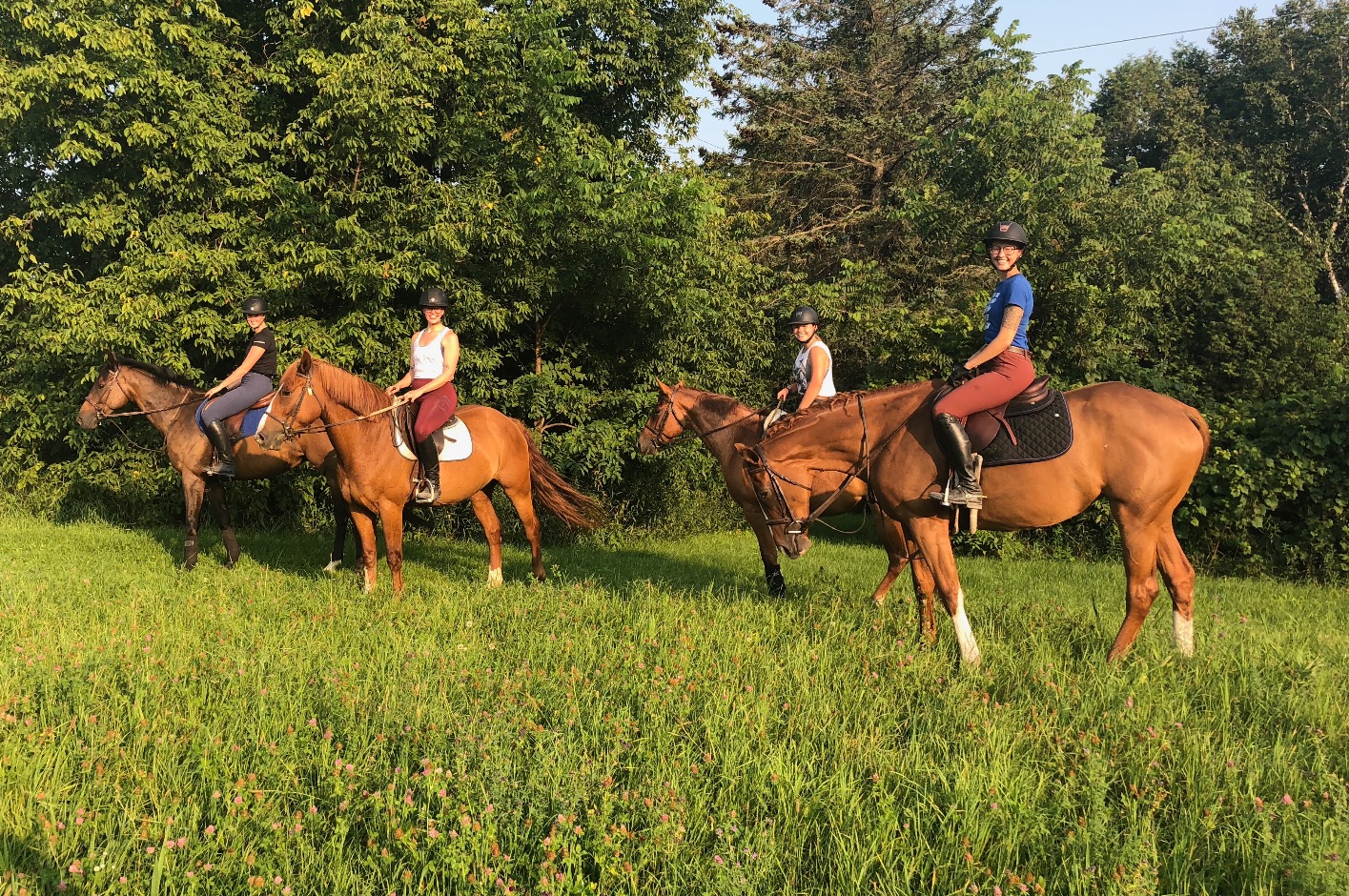 Riding Lessons| Ridgewood Farm