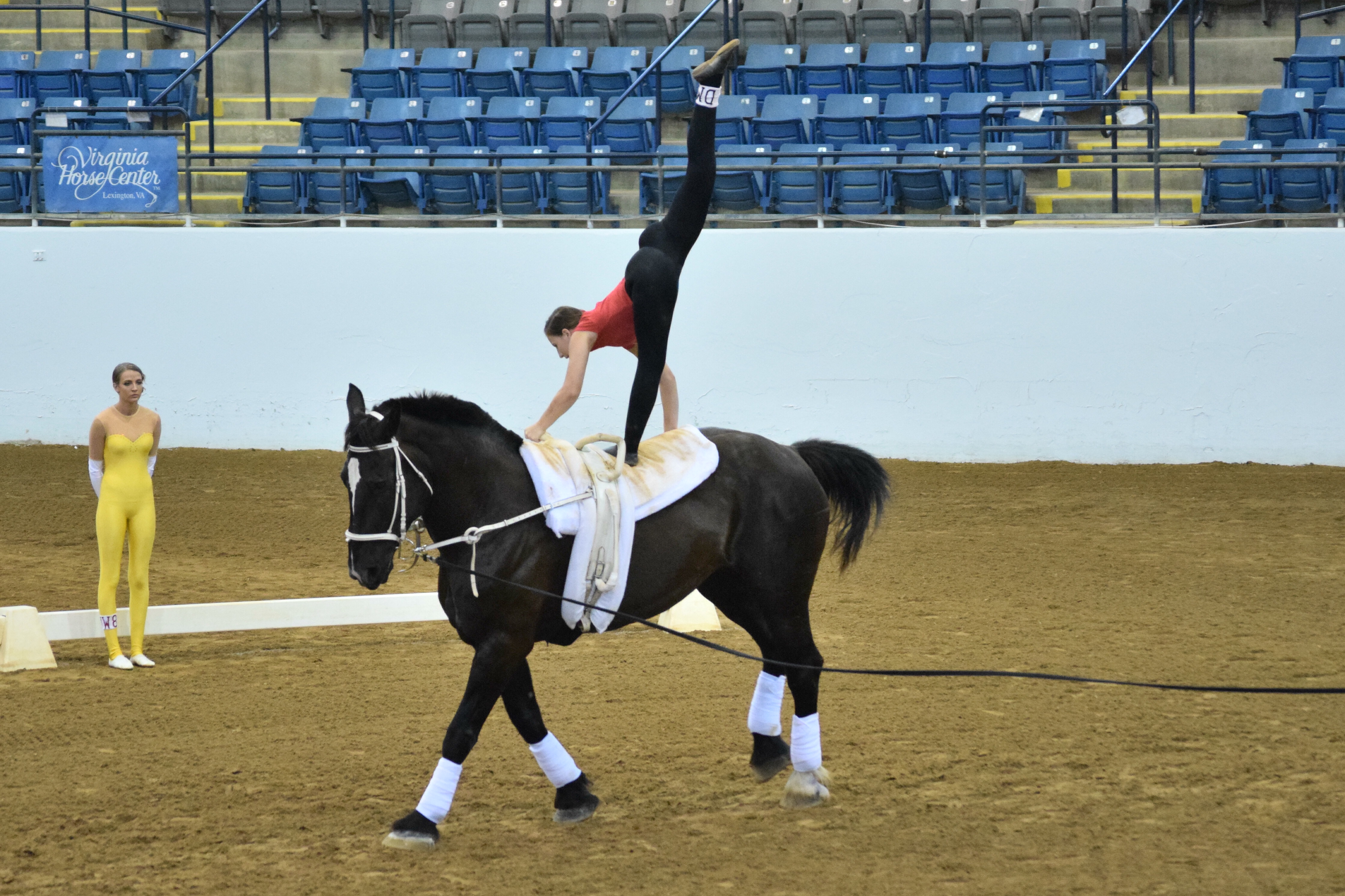 Vaulting | renaissancefarm