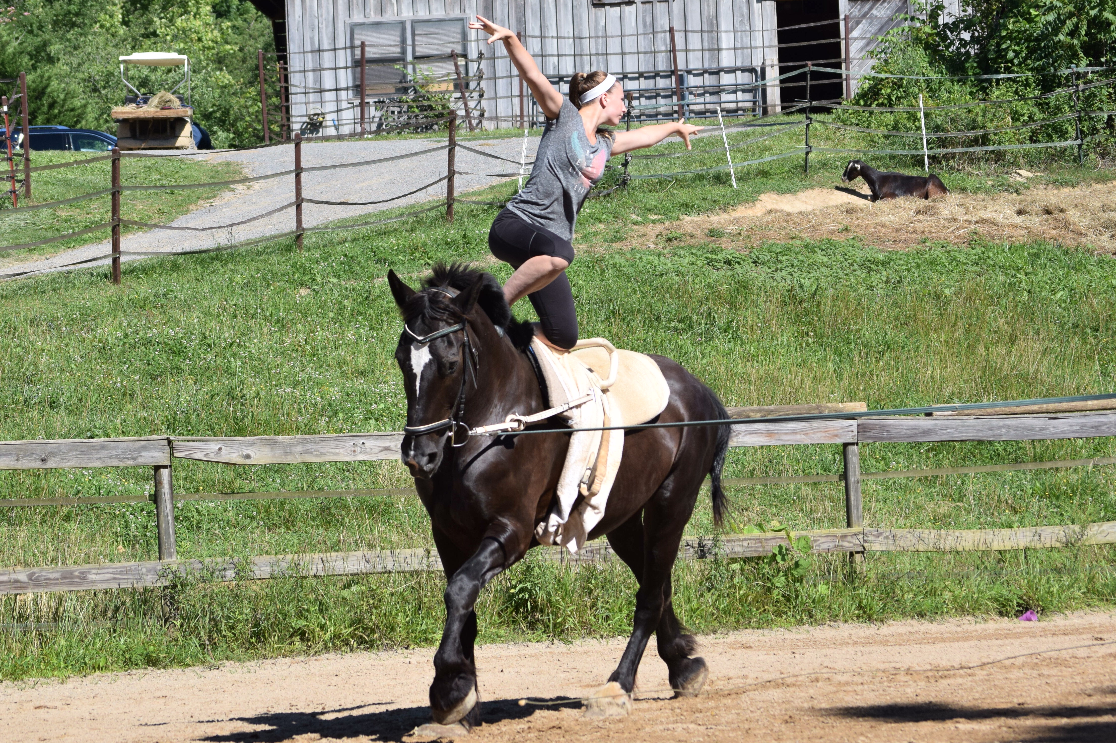 Vaulting | renaissancefarm