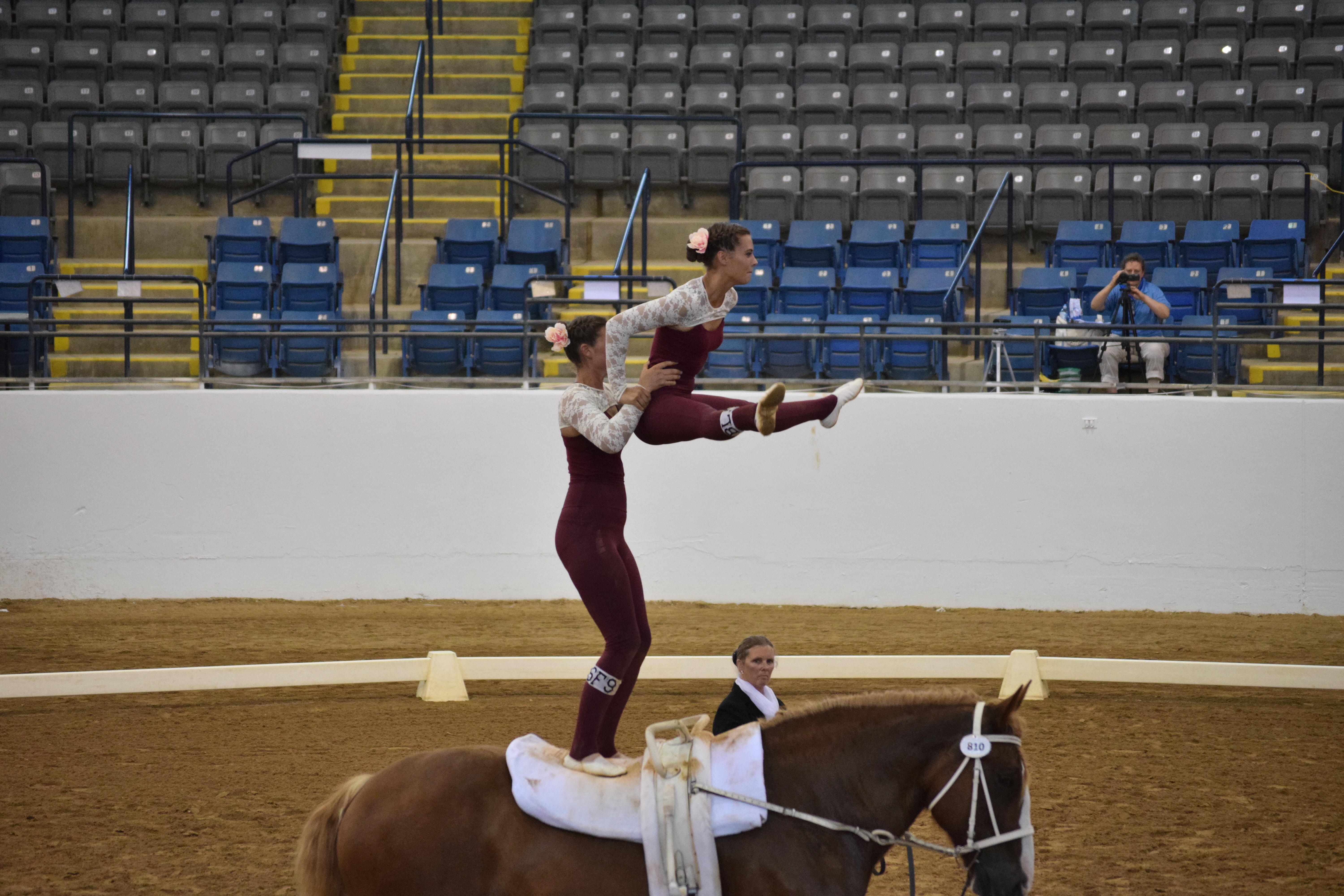 Vaulting | renaissancefarm