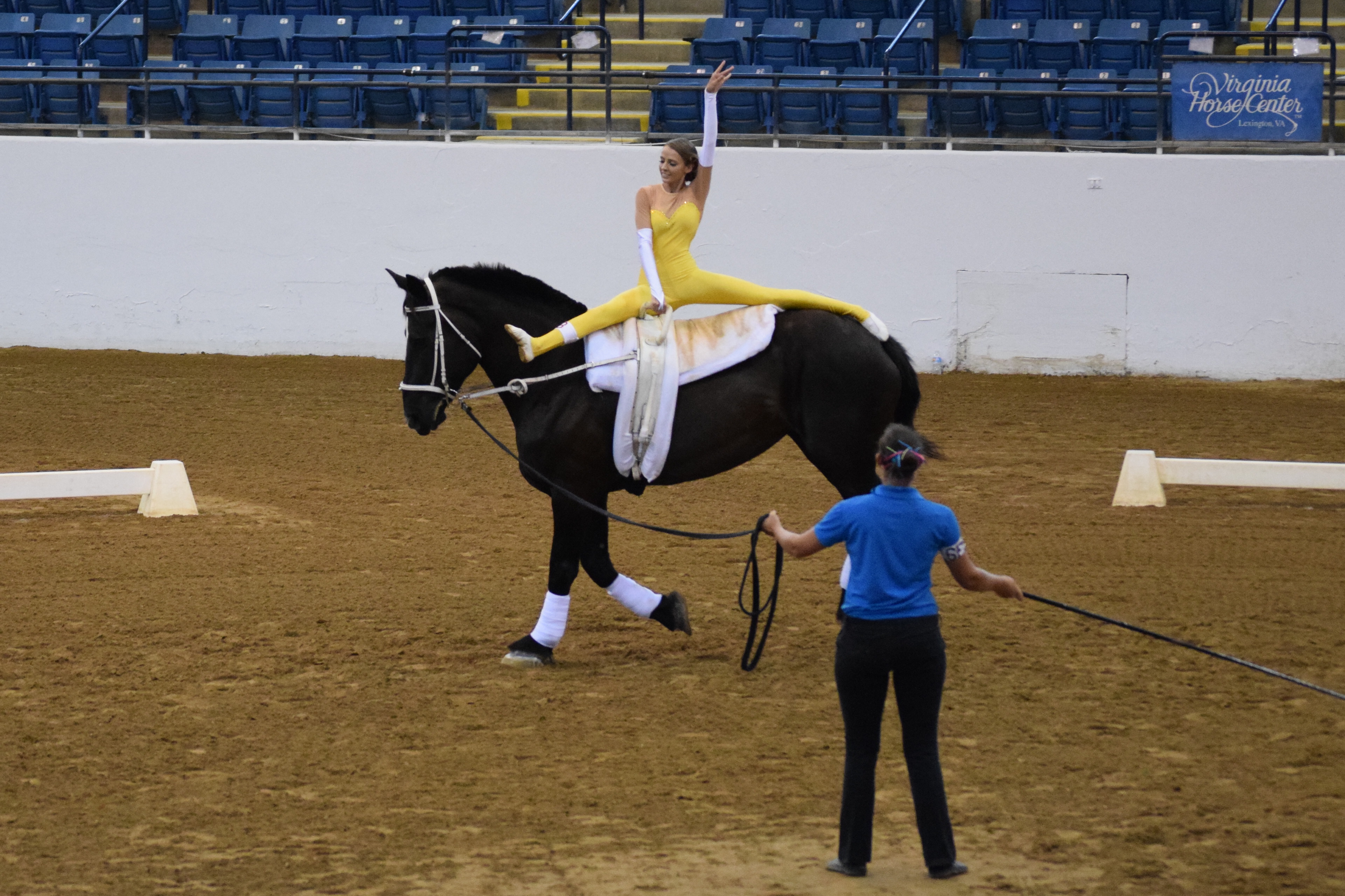 Vaulting | renaissancefarm