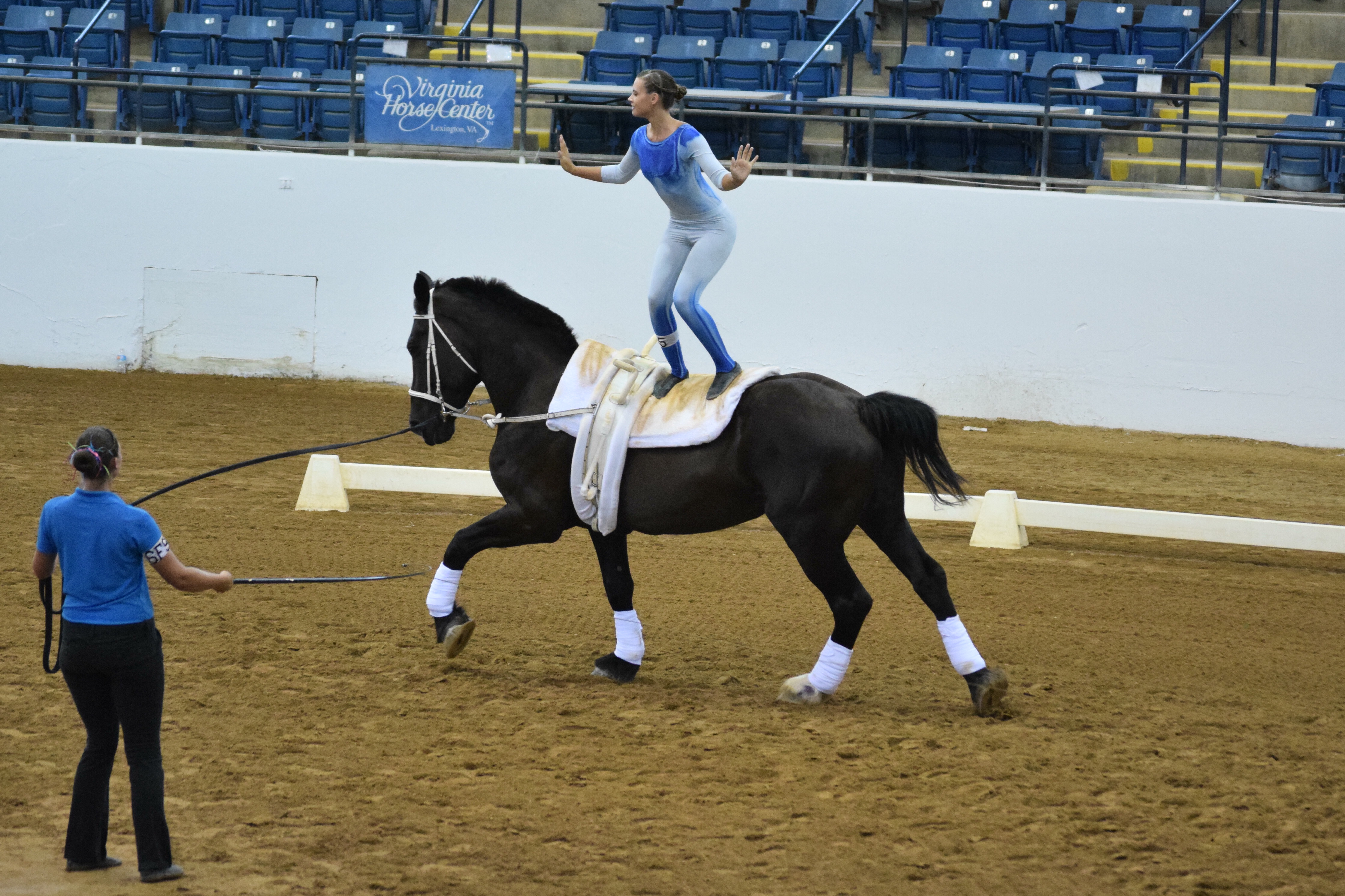 Vaulting | renaissancefarm