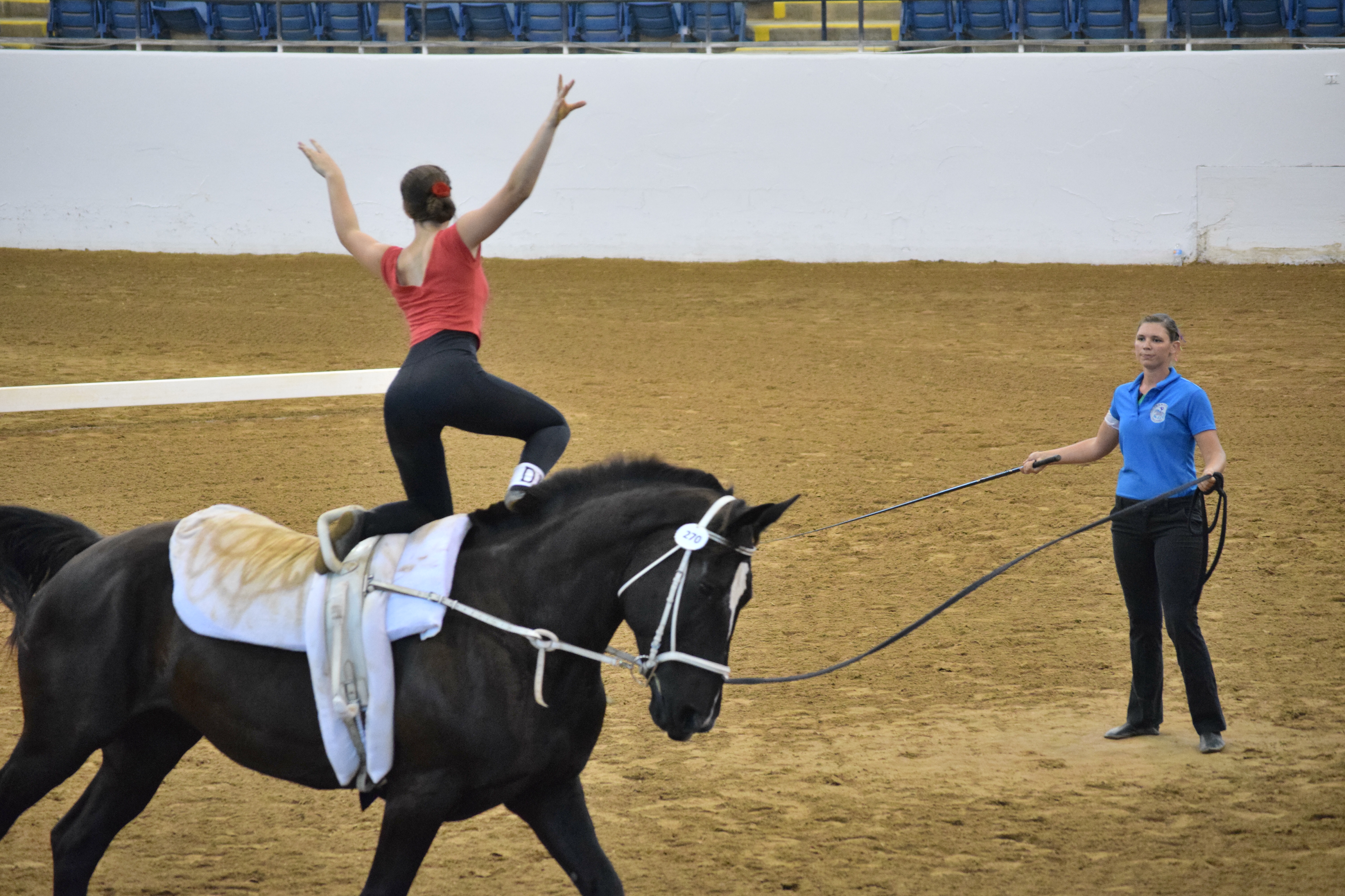 Vaulting | renaissancefarm