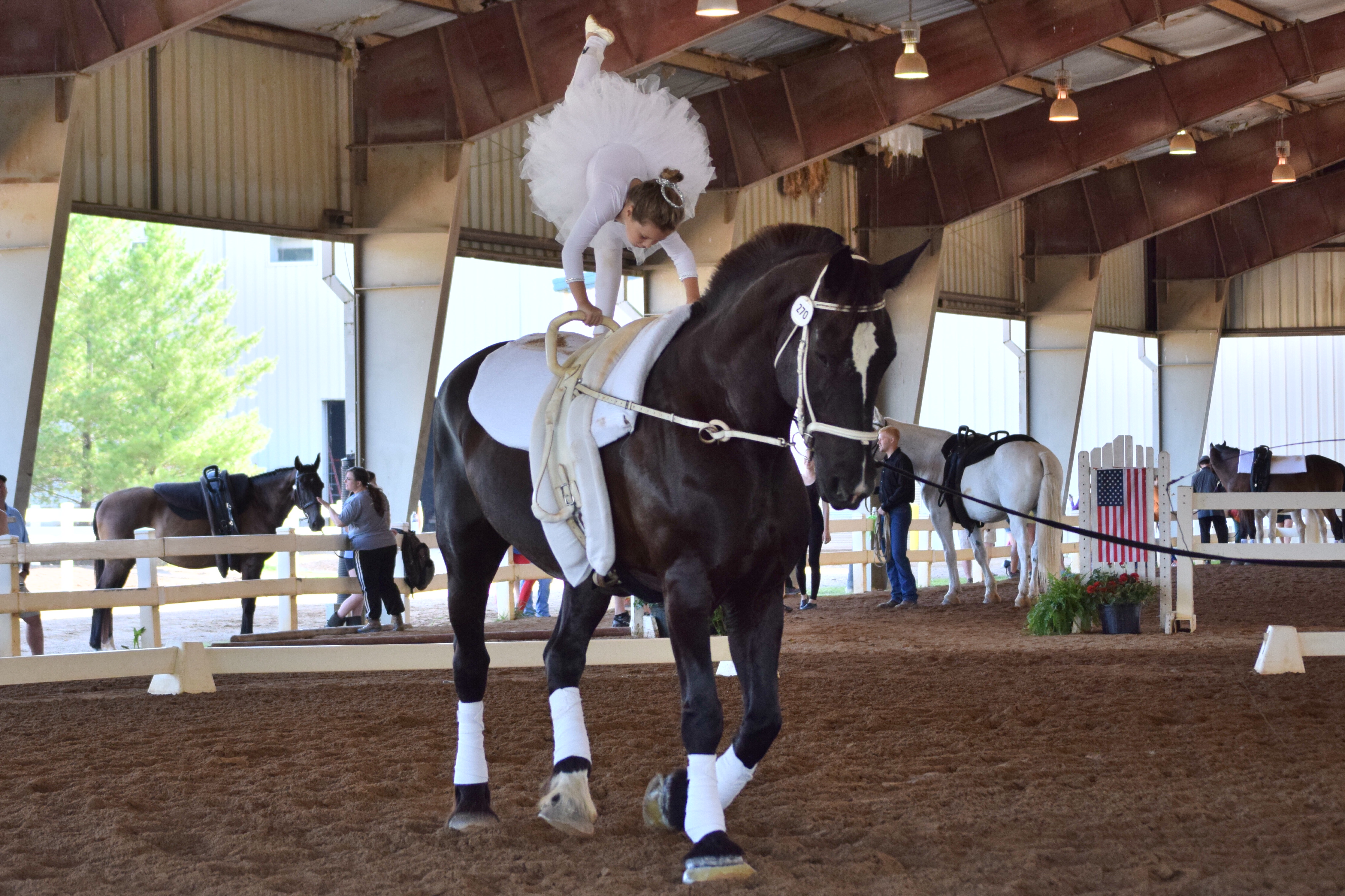 Vaulting | renaissancefarm
