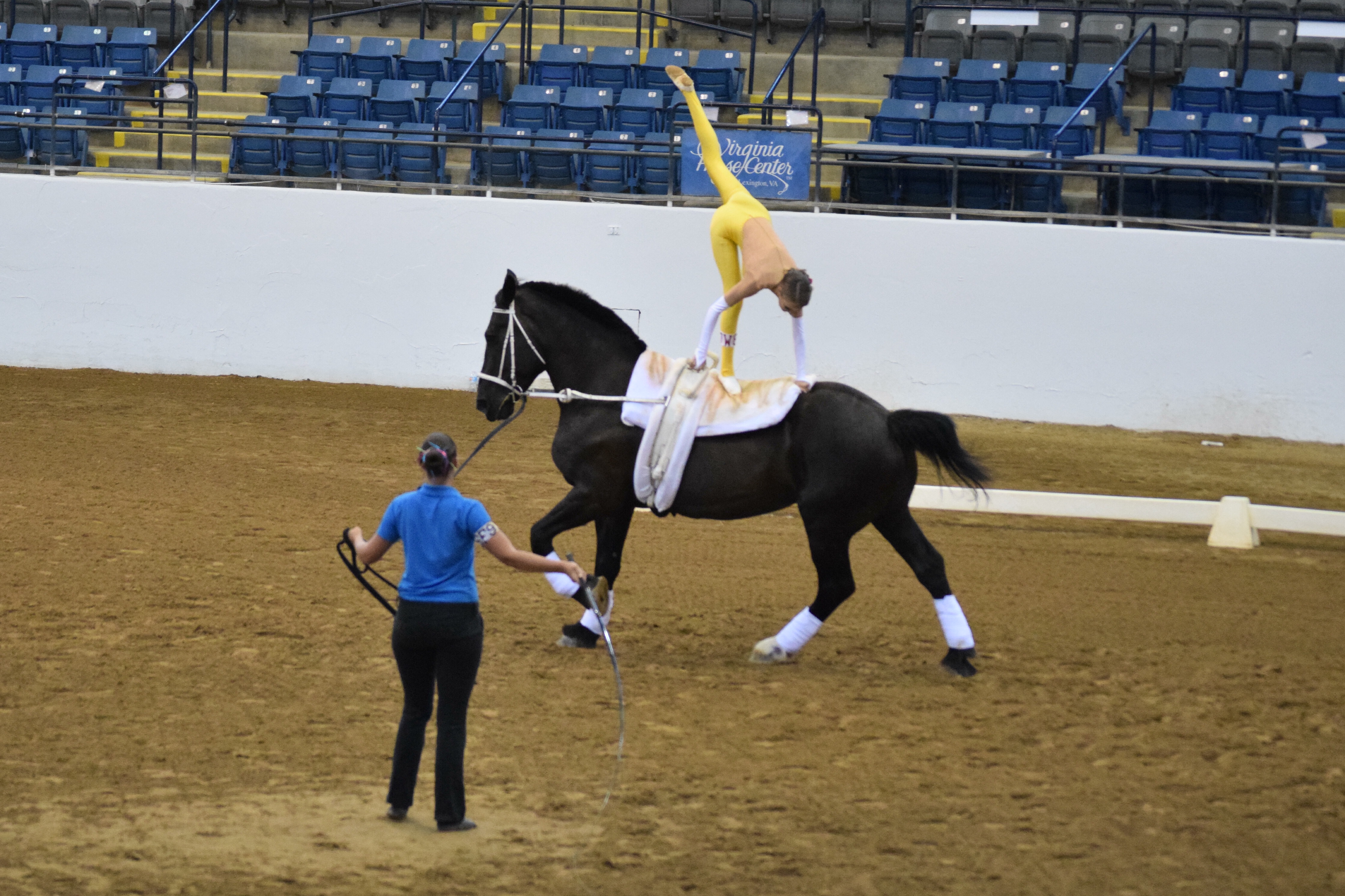 Vaulting | renaissancefarm