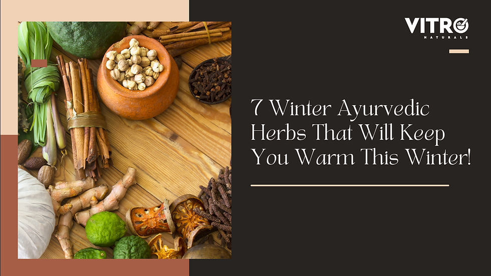 7 Winter Ayurvedic Herbs That Will Keep You Warm This Winter!