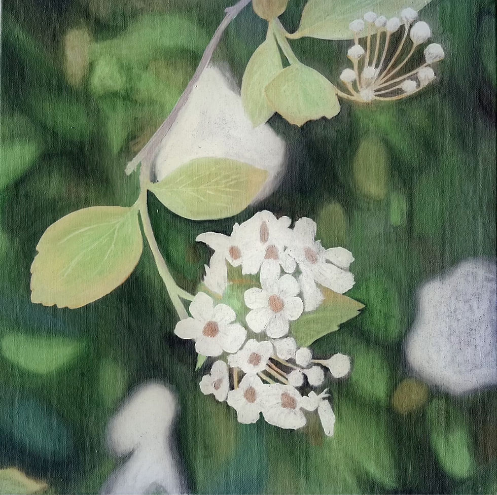 Inverted art | Lieke van Waas