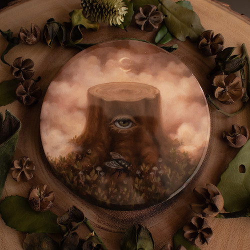 Wise tree stump - Oil painting | Bea Bastet