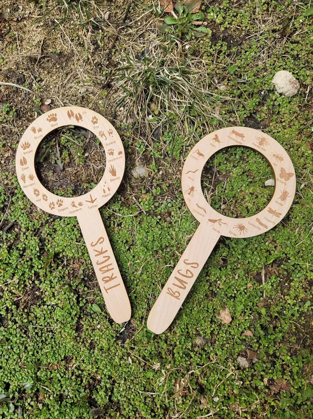 Bug identify wooden hand-held view finder// nature walk// outside home ...