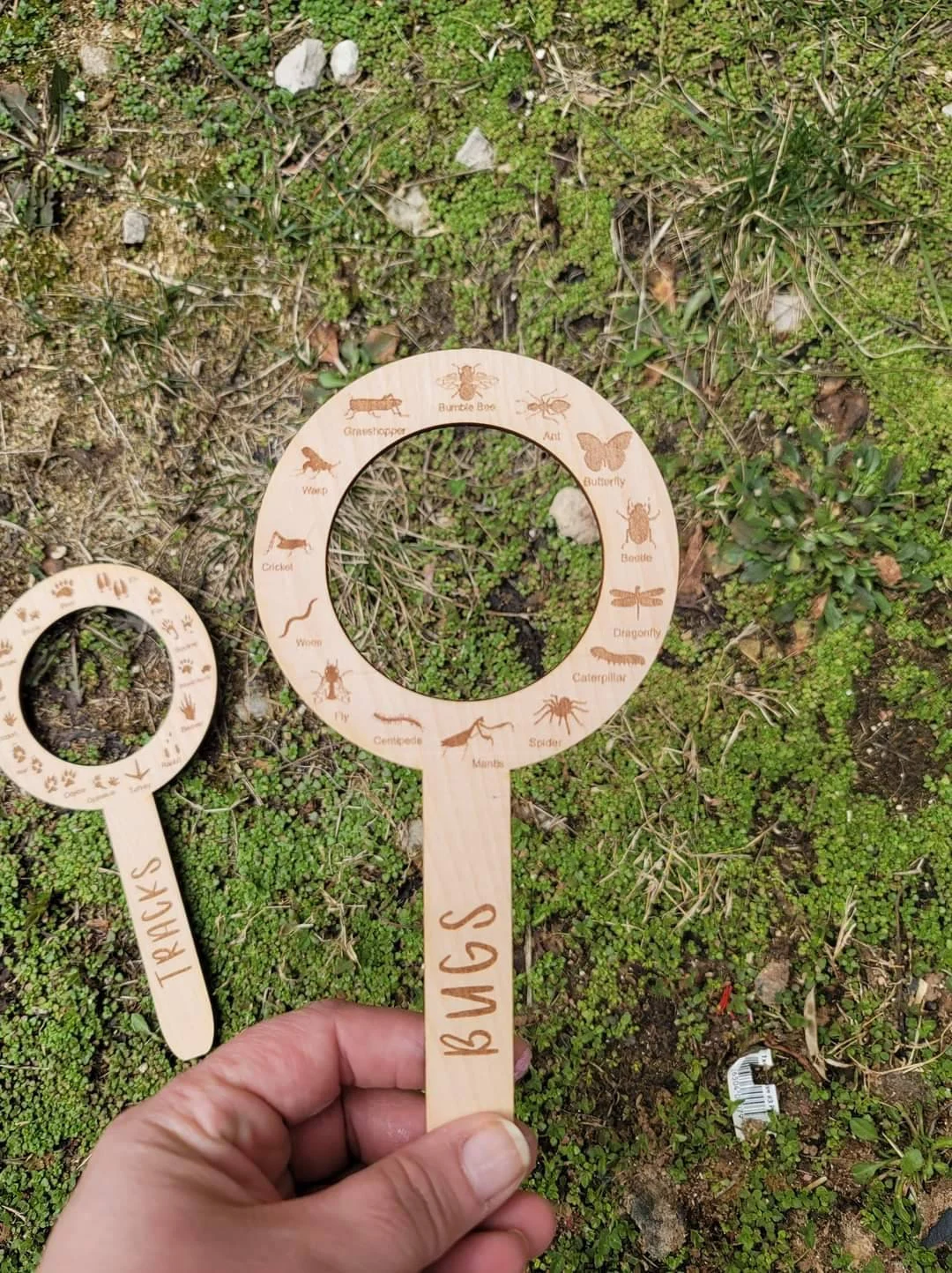 Bug identify wooden hand-held view finder// nature walk// outside home ...