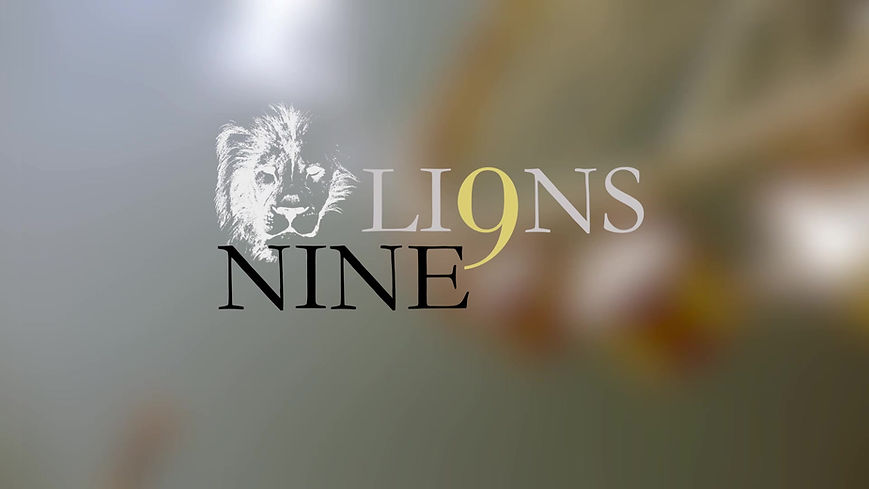 Nine Lions | Philadelphia Video Post Production | Editing-Graphics-VFX