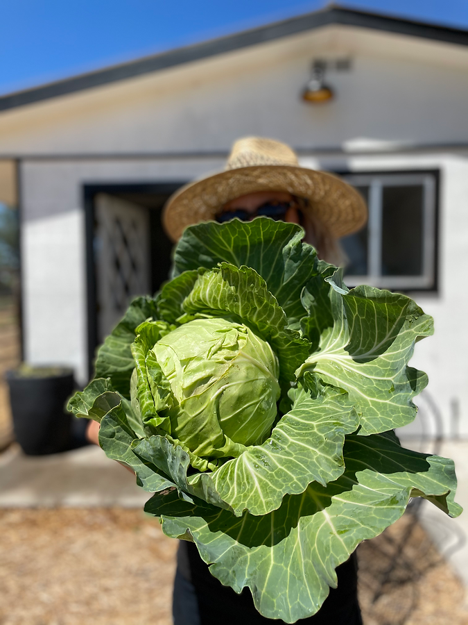 BOOK THE FARM | Good Life Farms