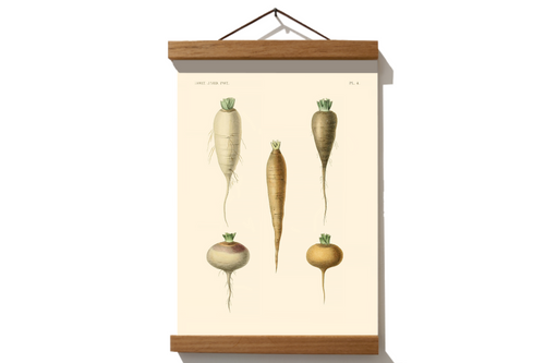 פוסטר - Roots | Cobalt Decor