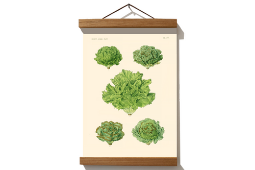 פוסטר - Lettuce | Cobalt Decor