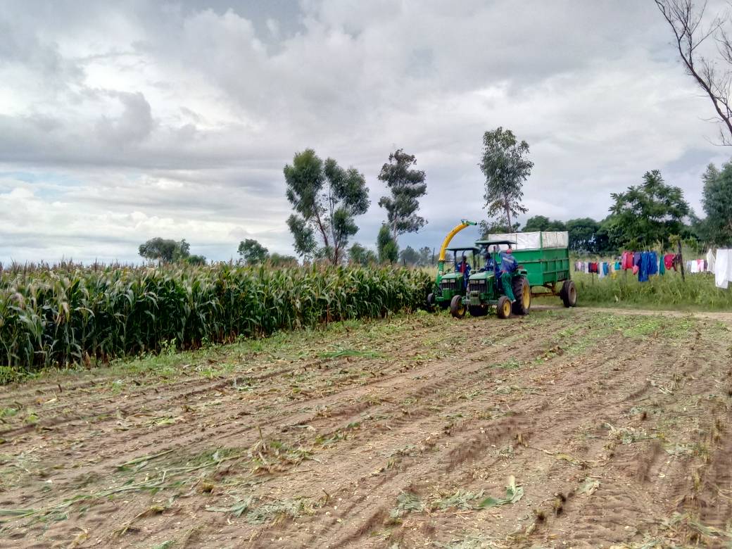 Farming | Koala Park Butchery