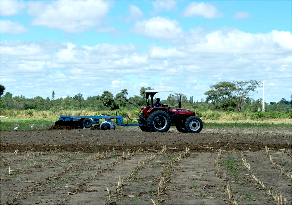 Farming | Koala Park Butchery
