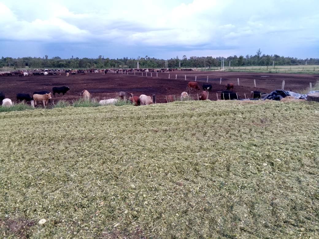 Farming | Koala Park Butchery