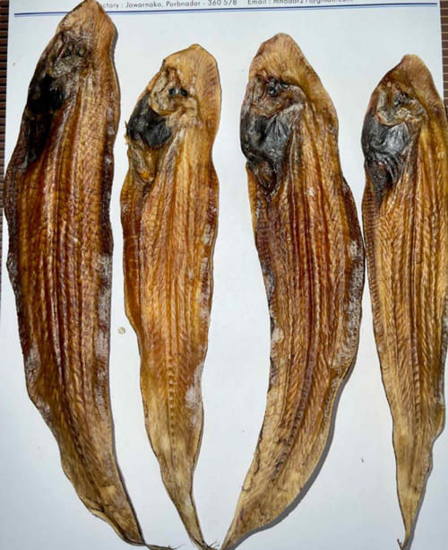 Dried Sole fish | Kalp Sea Foods