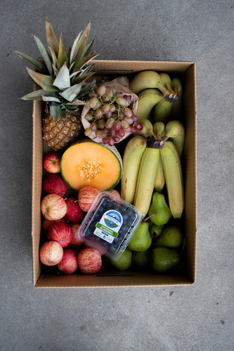 Fruit Box | Girl Friday Organics