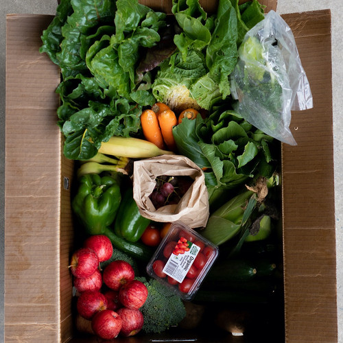 Super Box (Extra Large) | Girl Friday Organics