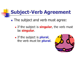 subject verb agreement errors