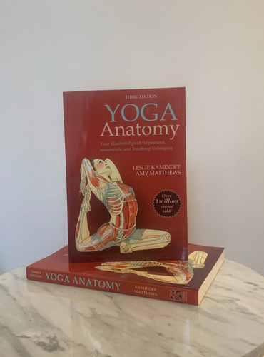 Yoga Anatomy | House Healing Berlin