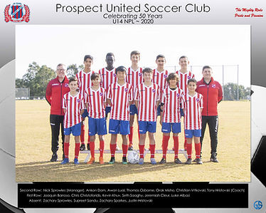 NPL Teams | Prospect United